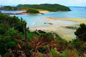 13 Things To Do On Stewart Island For Fun Times - Explore NZ